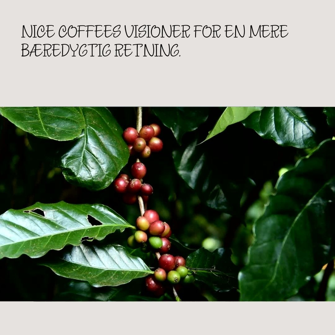 Bæredygtighed/CSR - Nice coffee Aps